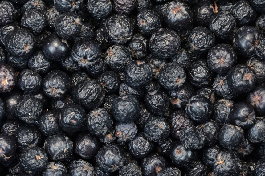 Aronia obniża ryzyko raka i cukrzycy. Polacy rzadko ją jedzą - Chillizet