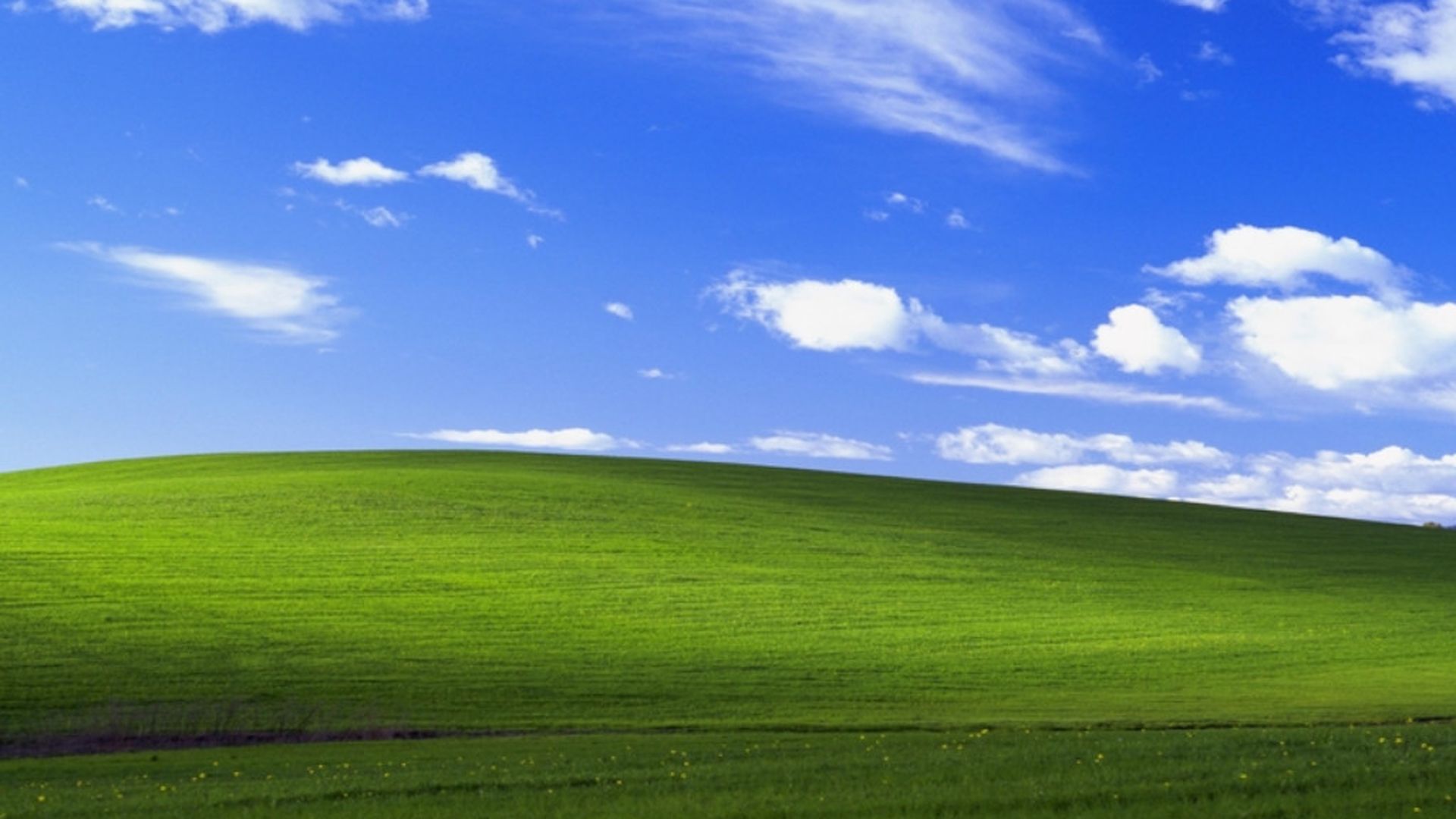 Pamiętasz wzgórze z tapety Windows XP? Dziś jest nie do poznania ...