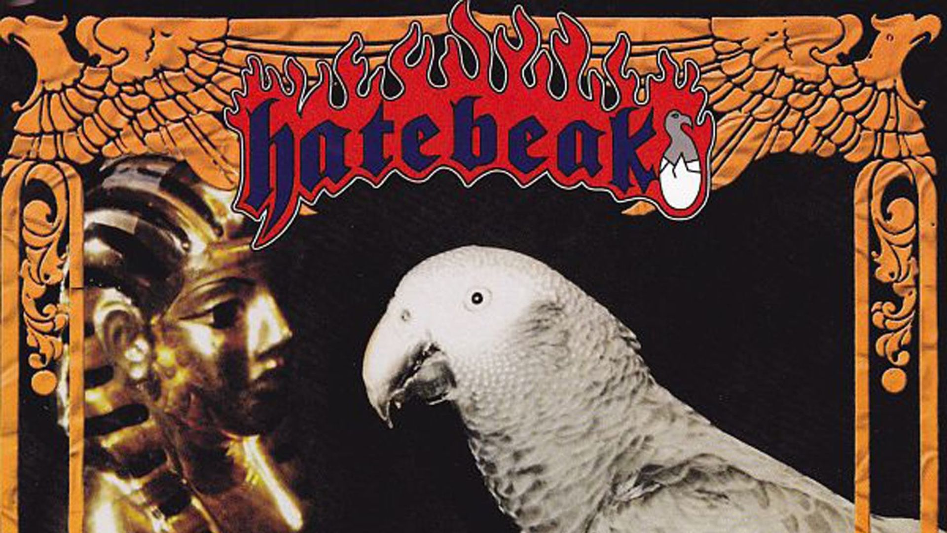 Hatebeak: papuga wokalistką zespołu deathmetalowego - Antyradio