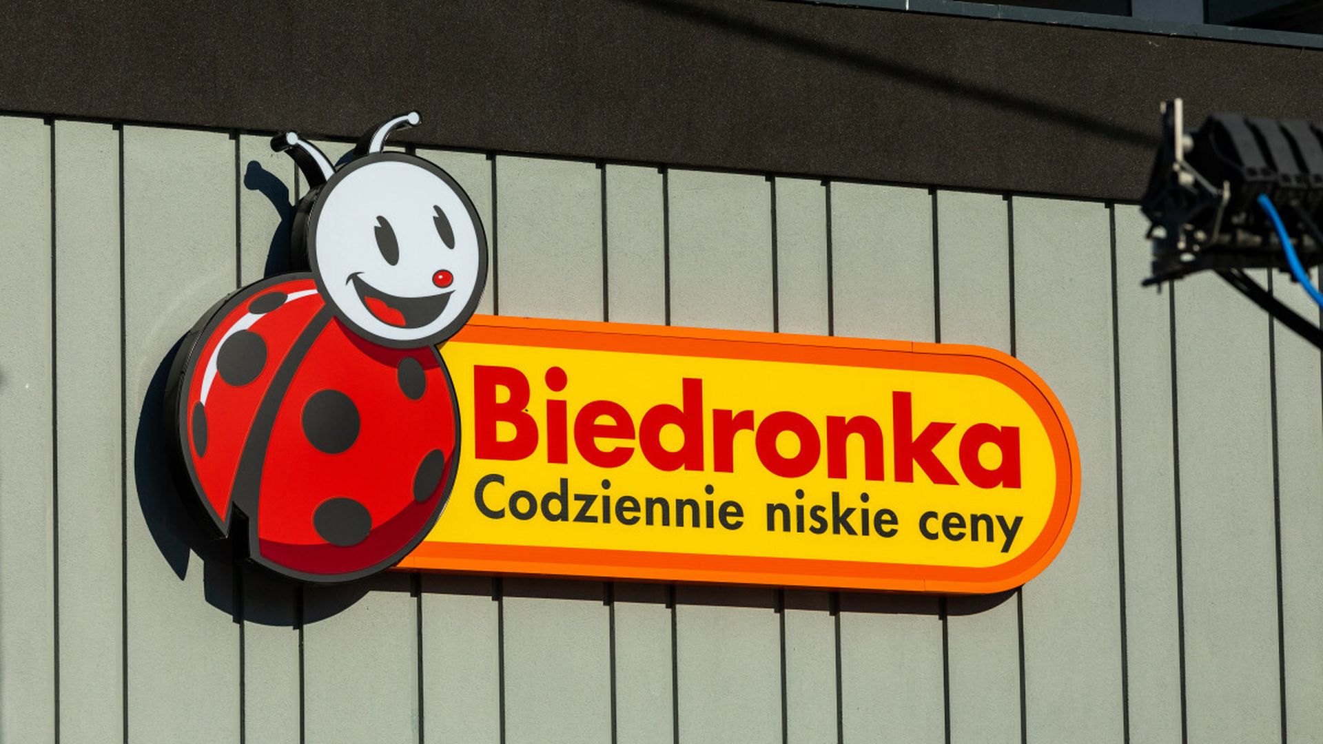 Biedronka startuje z nową usługą. Będzie dostarczać zakupy pod drzwi ...
