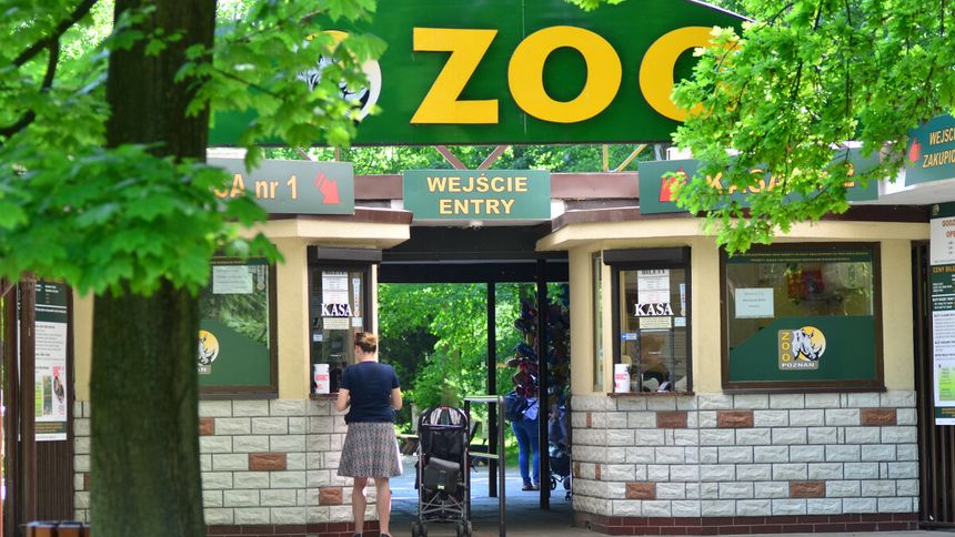 Była godzina 19.00. Pracownicy zoo w Poznaniu opublikowali to w sieci ...