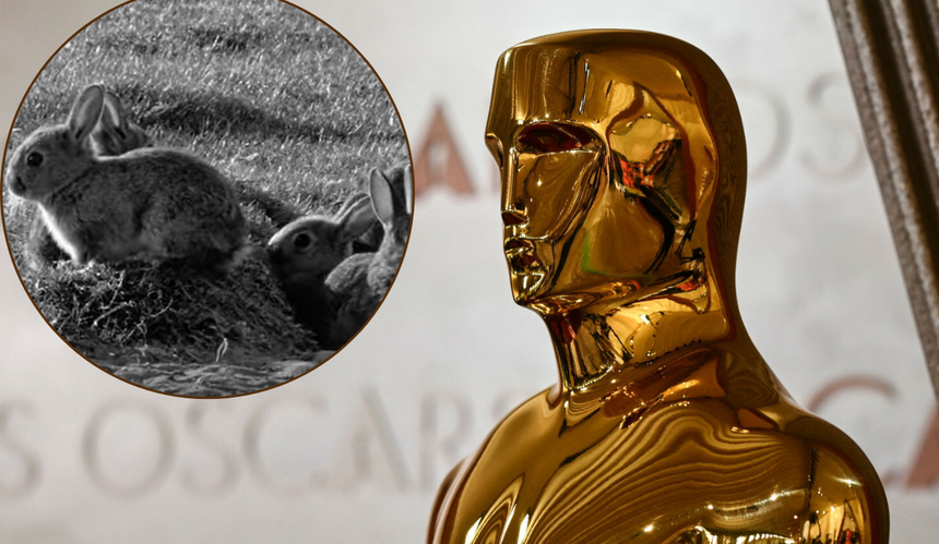 Ten polski film miał szansę na Oscara. Z jakim tytułem przegrał w 2010 ...